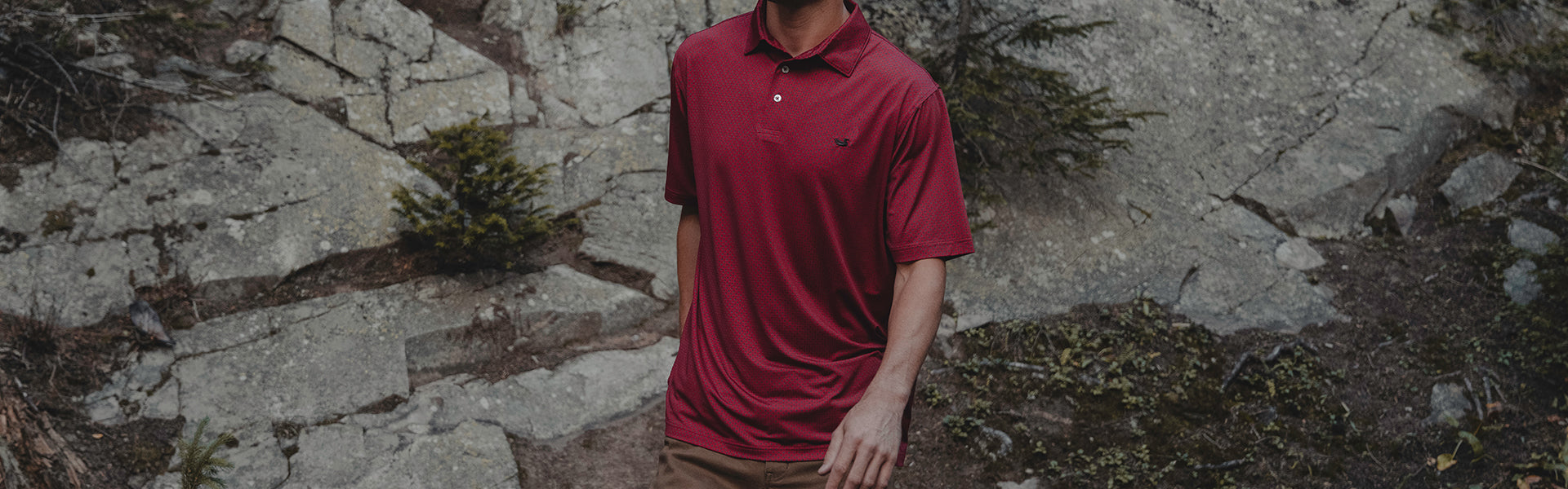 MSU Collection – Southern Marsh Collection