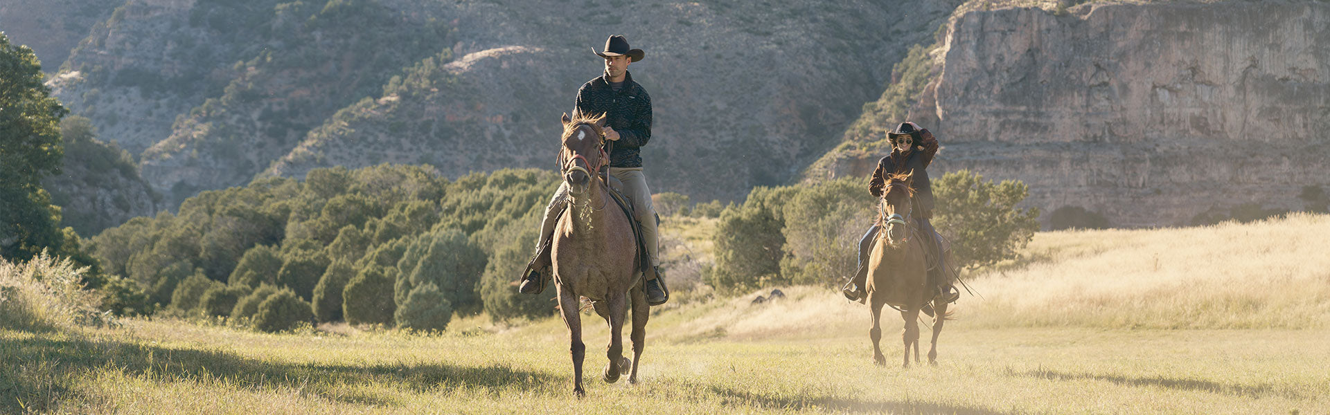 The South Goes West – Southern Marsh Collection