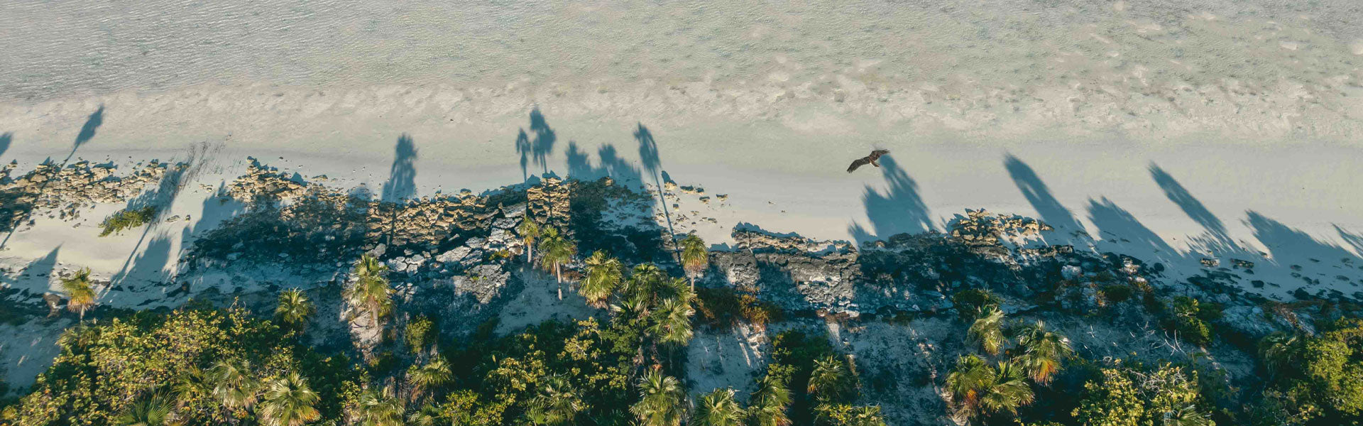 Beach Ready – Southern Marsh Collection